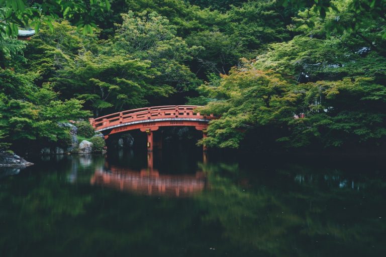 Commune With Nature on Greenery Day | JOBS IN JAPAN